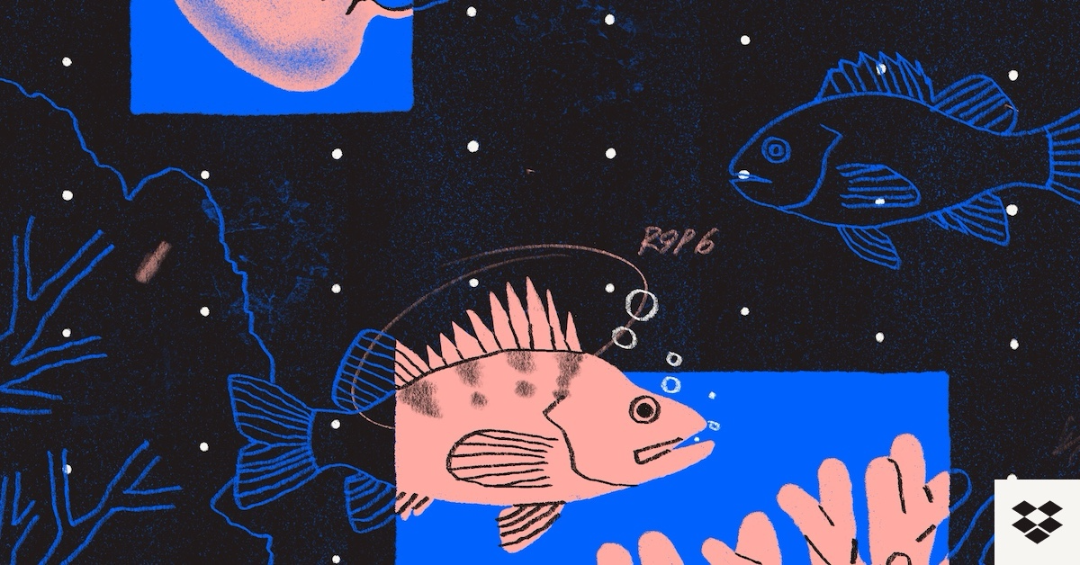 Creating an ocean of data with the help of underwater robots | Dropbox Blog